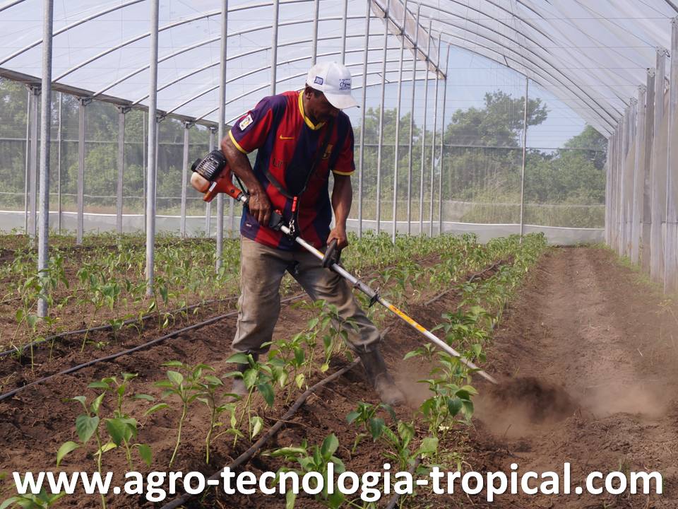 maquina control de malezas en invernadero